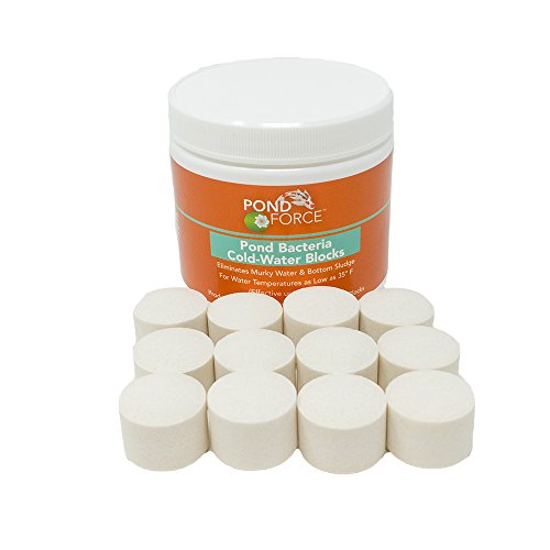 Pond Force Pond Bacteria Cold Water Blocks (Treats 12000 ...