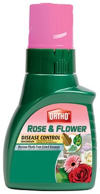 Ortho Concentrate RosePride Rose and Shrub Disease Control